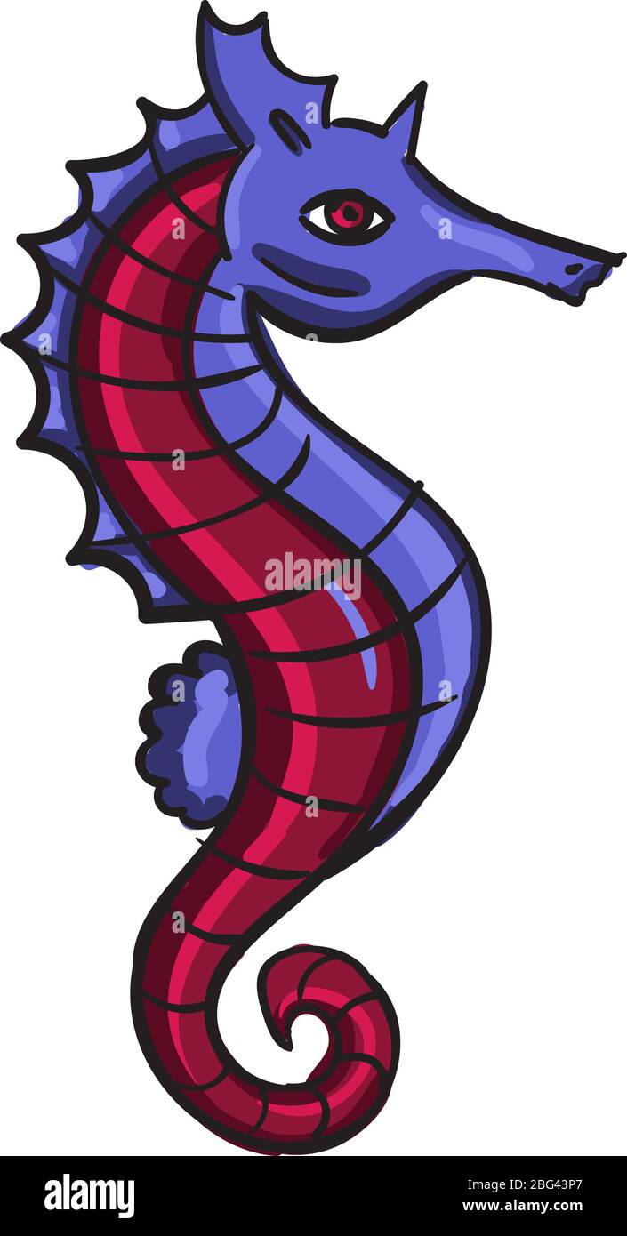 Cute seahorse on coral Stock Vector Images - Alamy