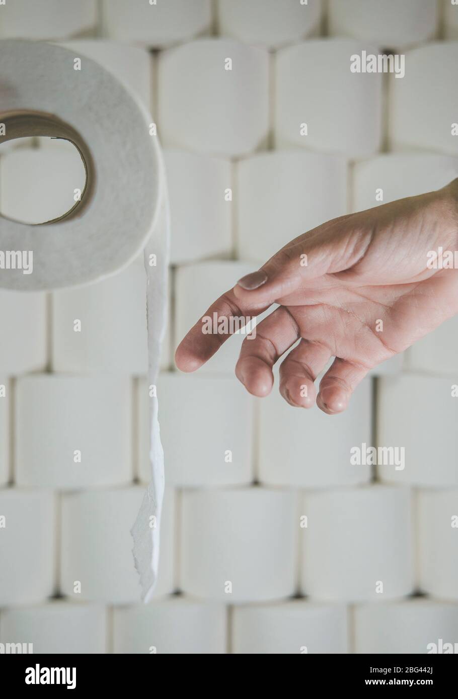 Human hand reaching for toilet roll Stock Photo - Alamy