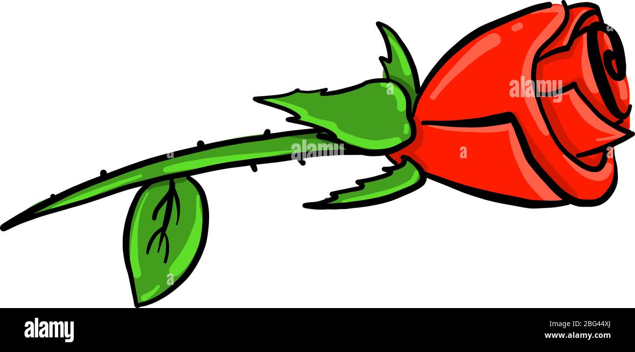 Red rose, illustration, vector on white background Stock Vector Image ...