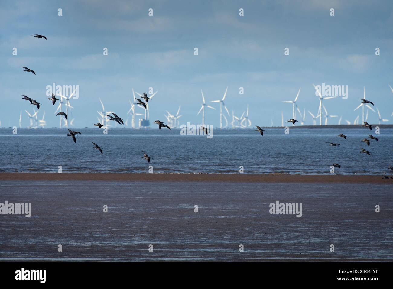 Morecambe bay wind farm hi-res stock photography and images - Alamy
