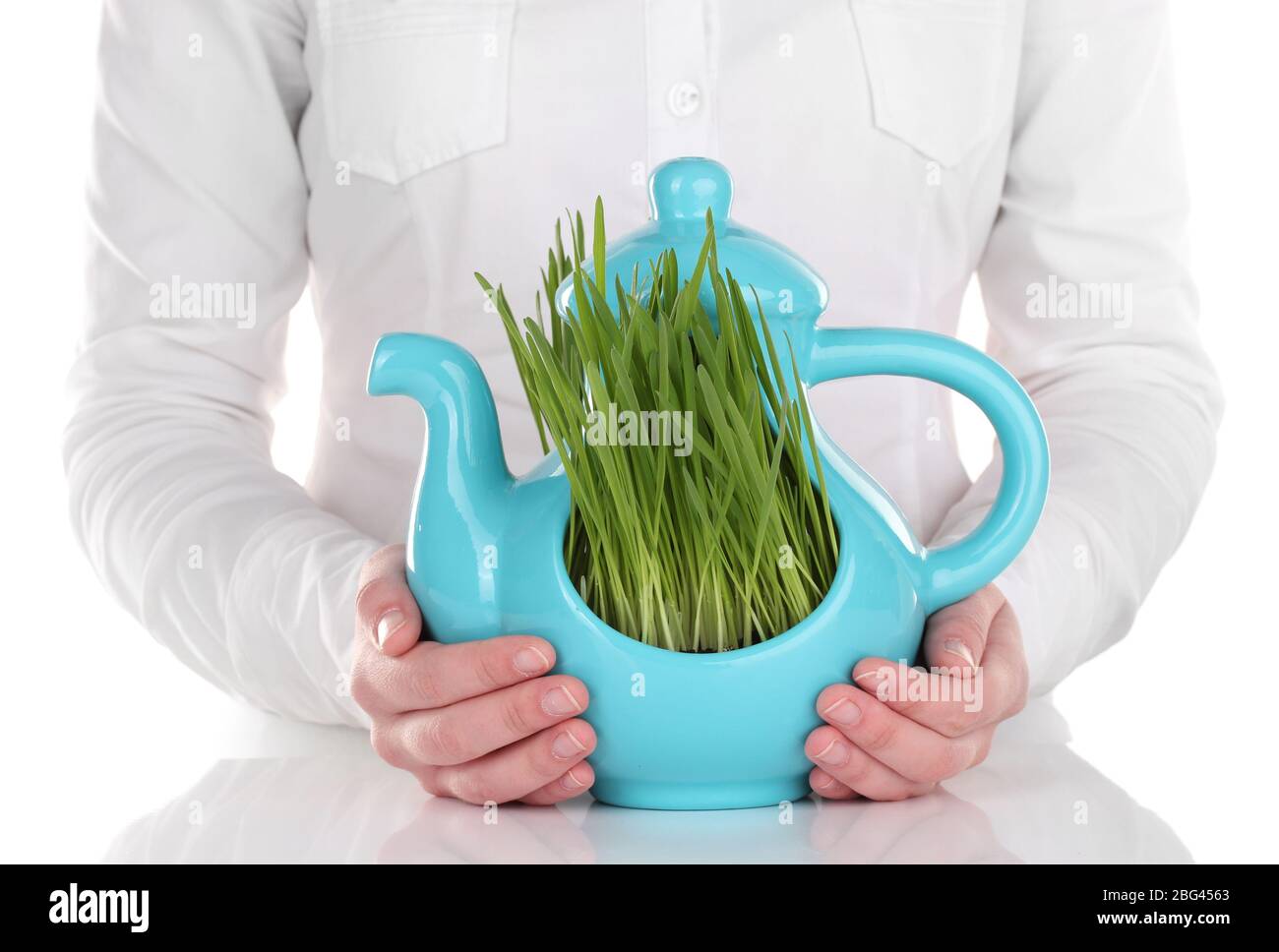 Green grass in decorative pot in hands isolated on white Stock Photo ...