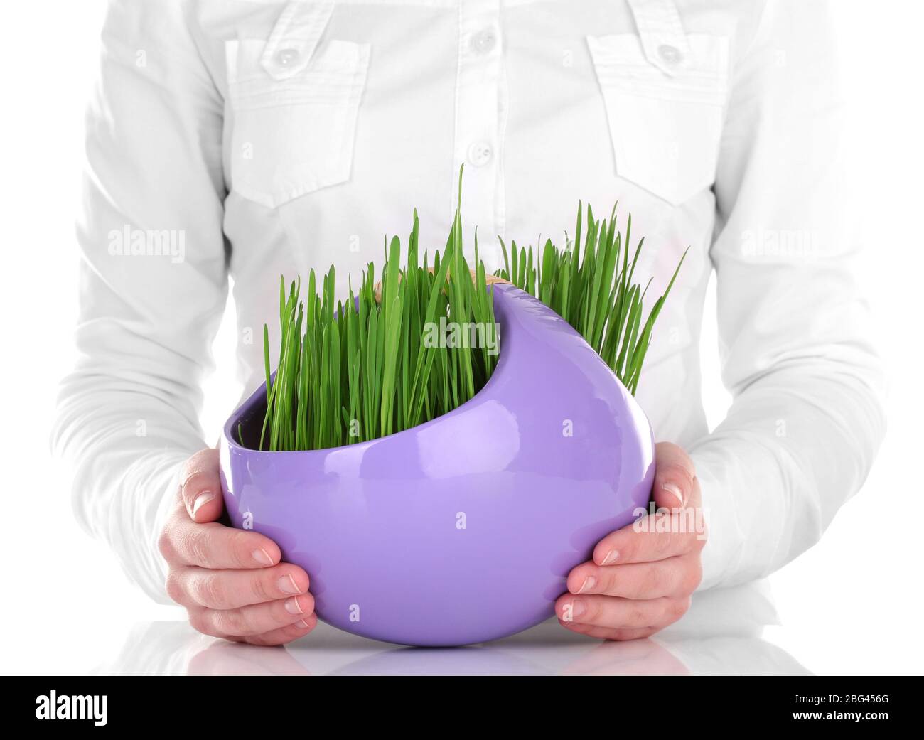 Green grass in decorative pot in hands isolated on white Stock Photo ...