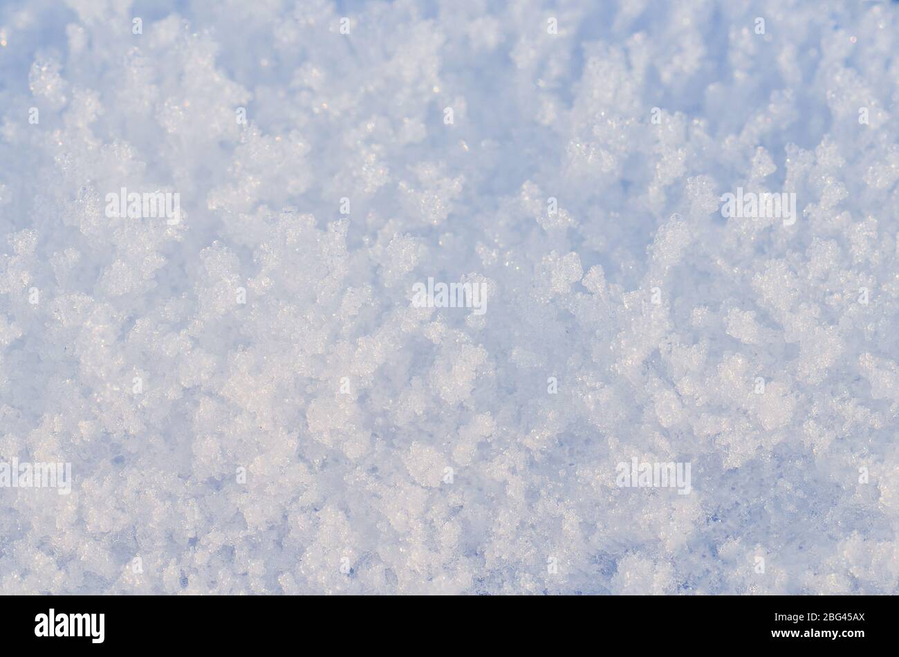 Snow texture in blue tone. Texture of white snow. Winter background ...
