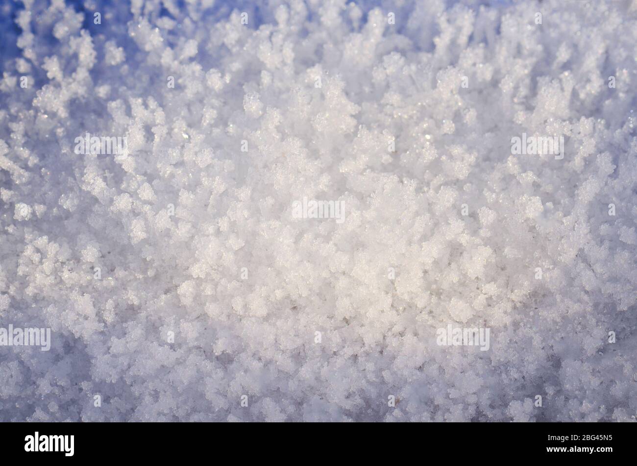 Snow texture in blue tone. Texture of white snow. Winter background ...