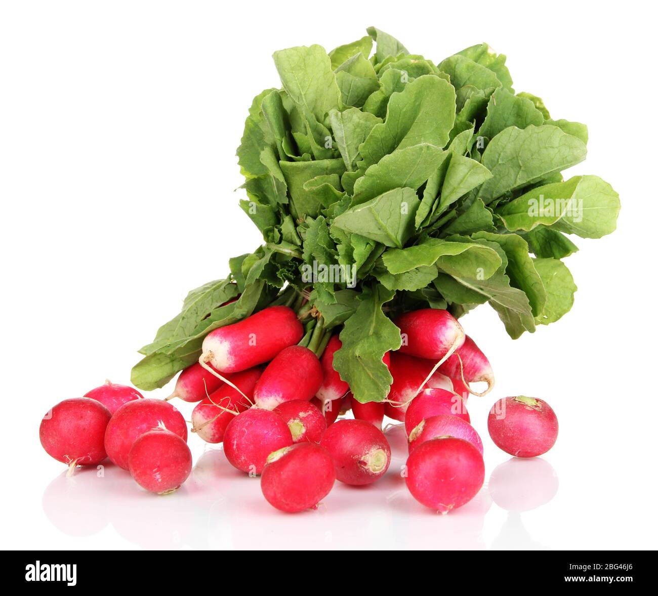 Small garden radish with leaves isolated on white Stock Photo - Alamy