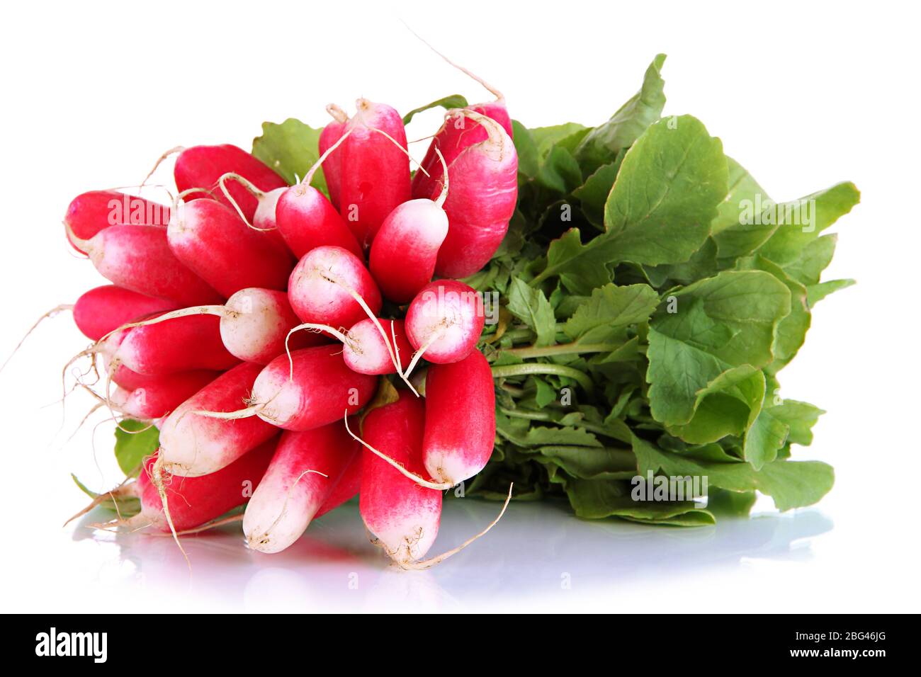 Small garden radish with leaves isolated on white Stock Photo - Alamy