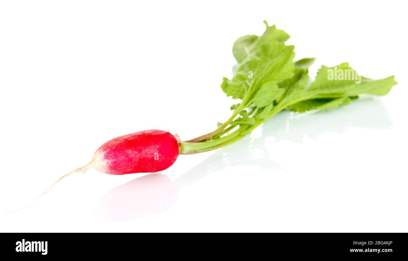 Small garden radish with leaves isolated on white Stock Photo - Alamy