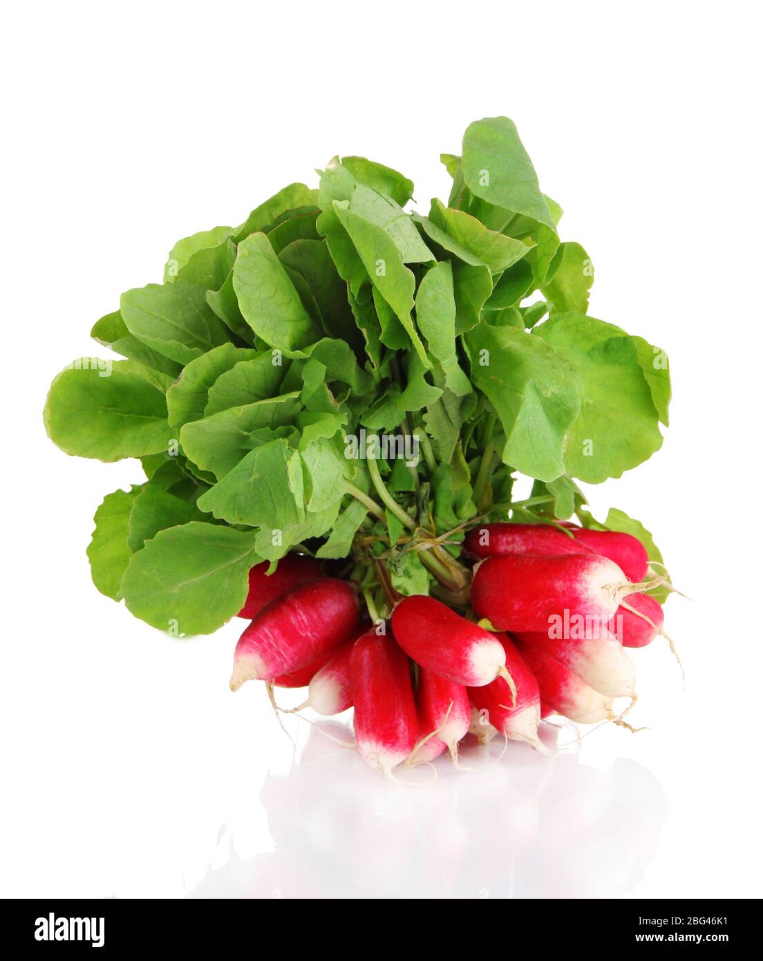 Small garden radish with leaves isolated on white Stock Photo - Alamy
