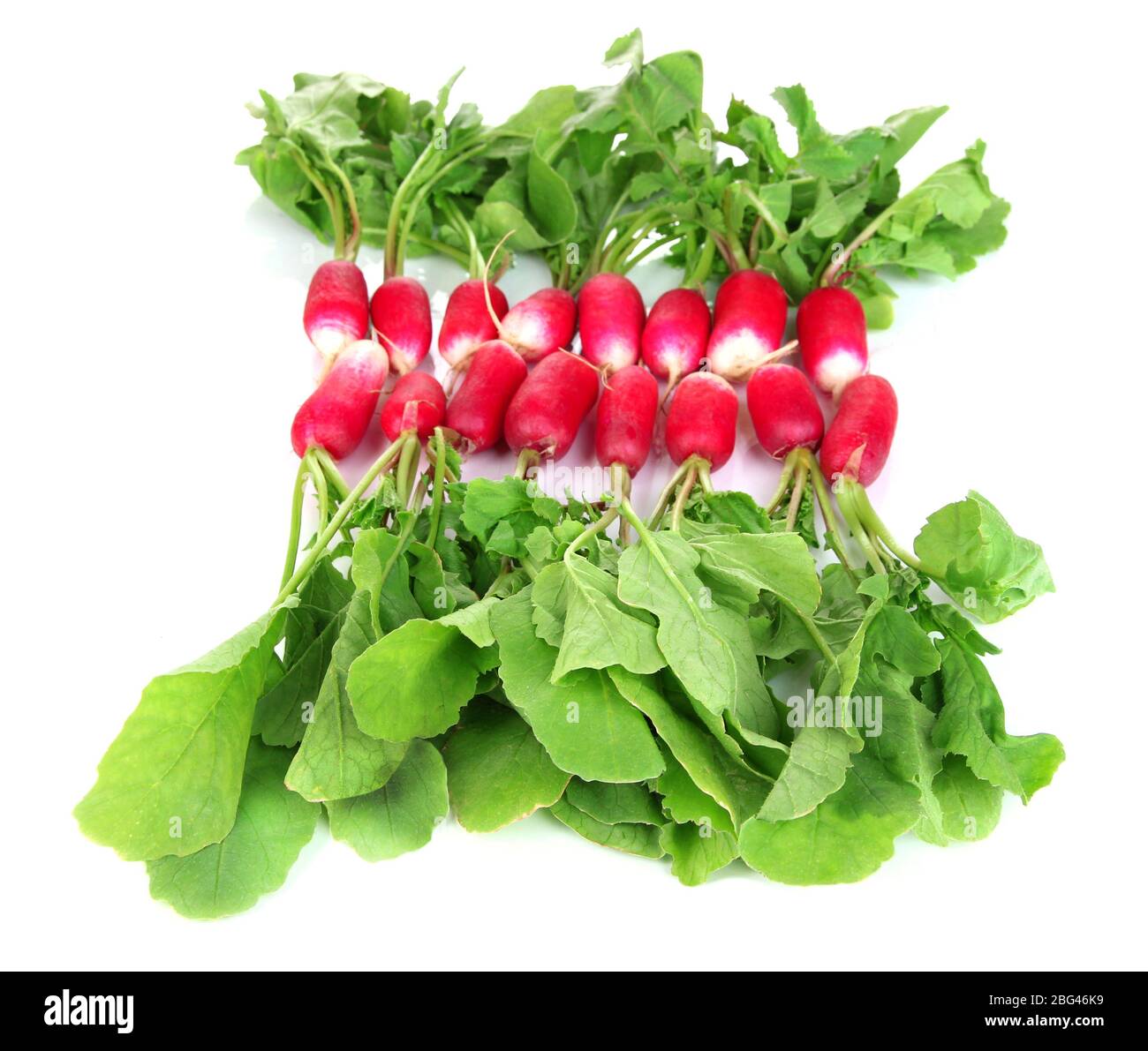 Small garden radish with leaves isolated on white Stock Photo - Alamy