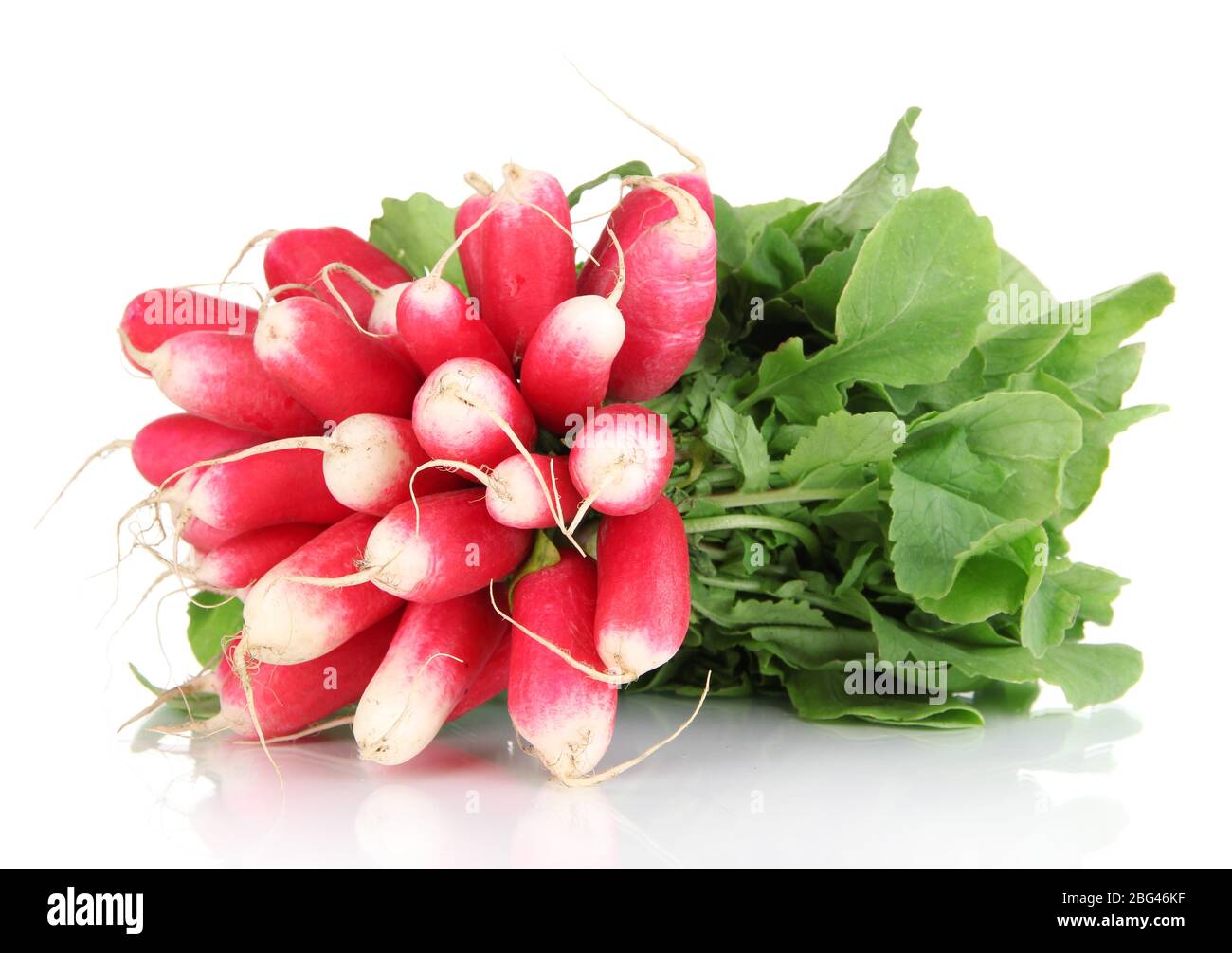 Small garden radish with leaves isolated on white Stock Photo - Alamy