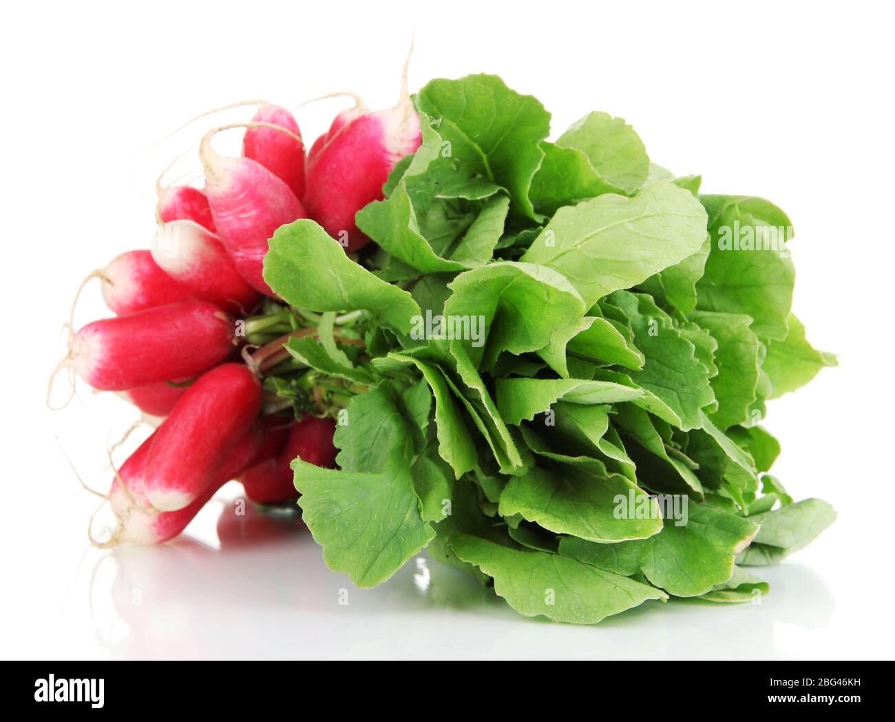 Small garden radish with leaves isolated on white Stock Photo - Alamy