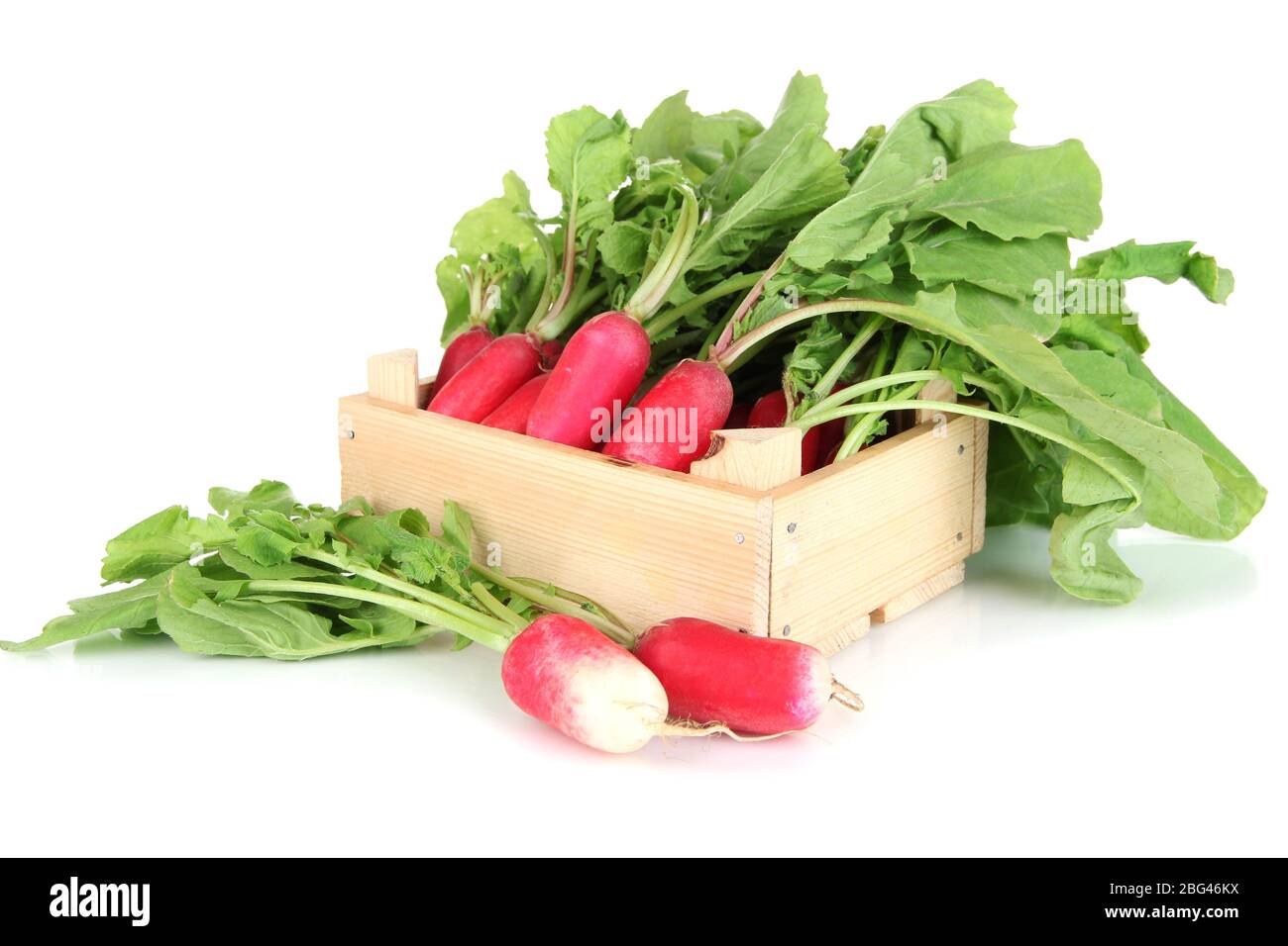 Small garden radish with leaves isolated on white Stock Photo - Alamy