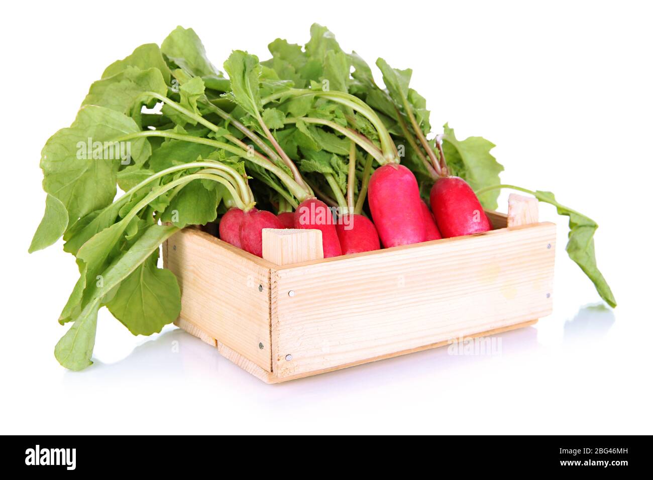 Small garden radish with leaves isolated on white Stock Photo - Alamy