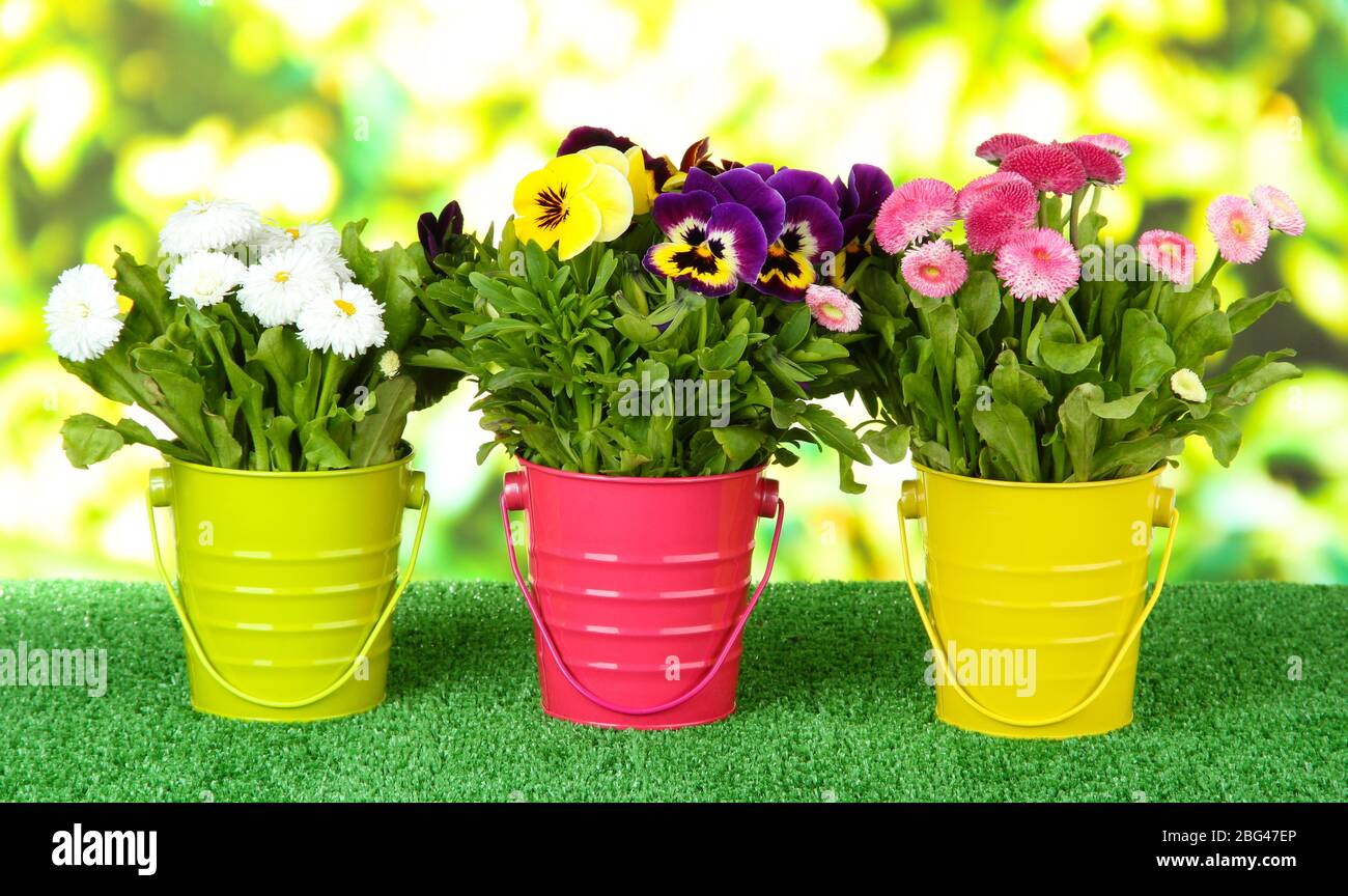 Beautiful flowers on grass on bright background Stock Photo - Alamy