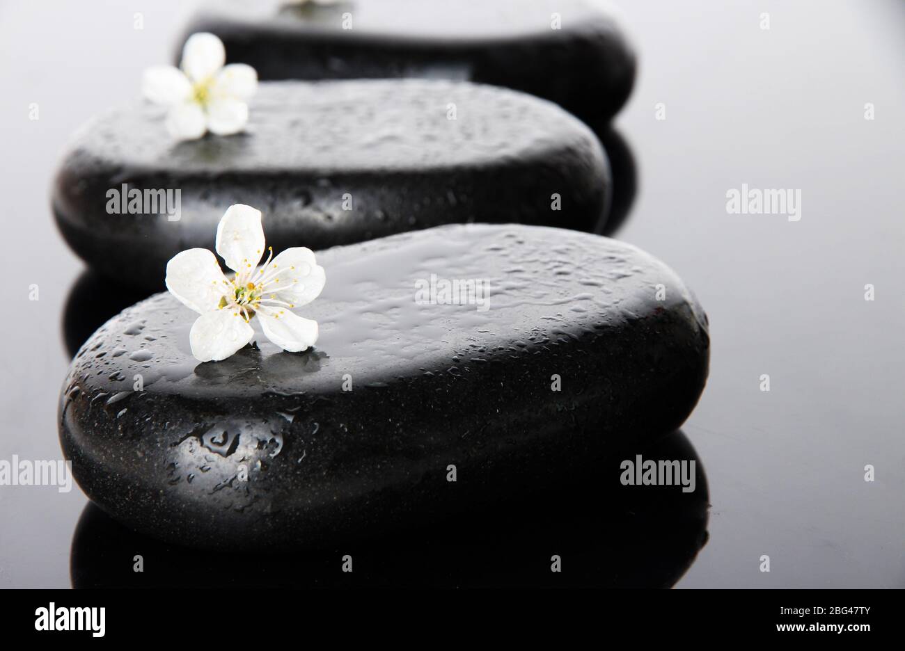 Spa stones and white flowers on dark background Stock Photo - Alamy