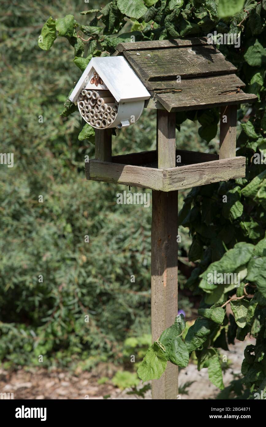 A rustic bird table with a bee nesting box attached Stock Photo - Alamy