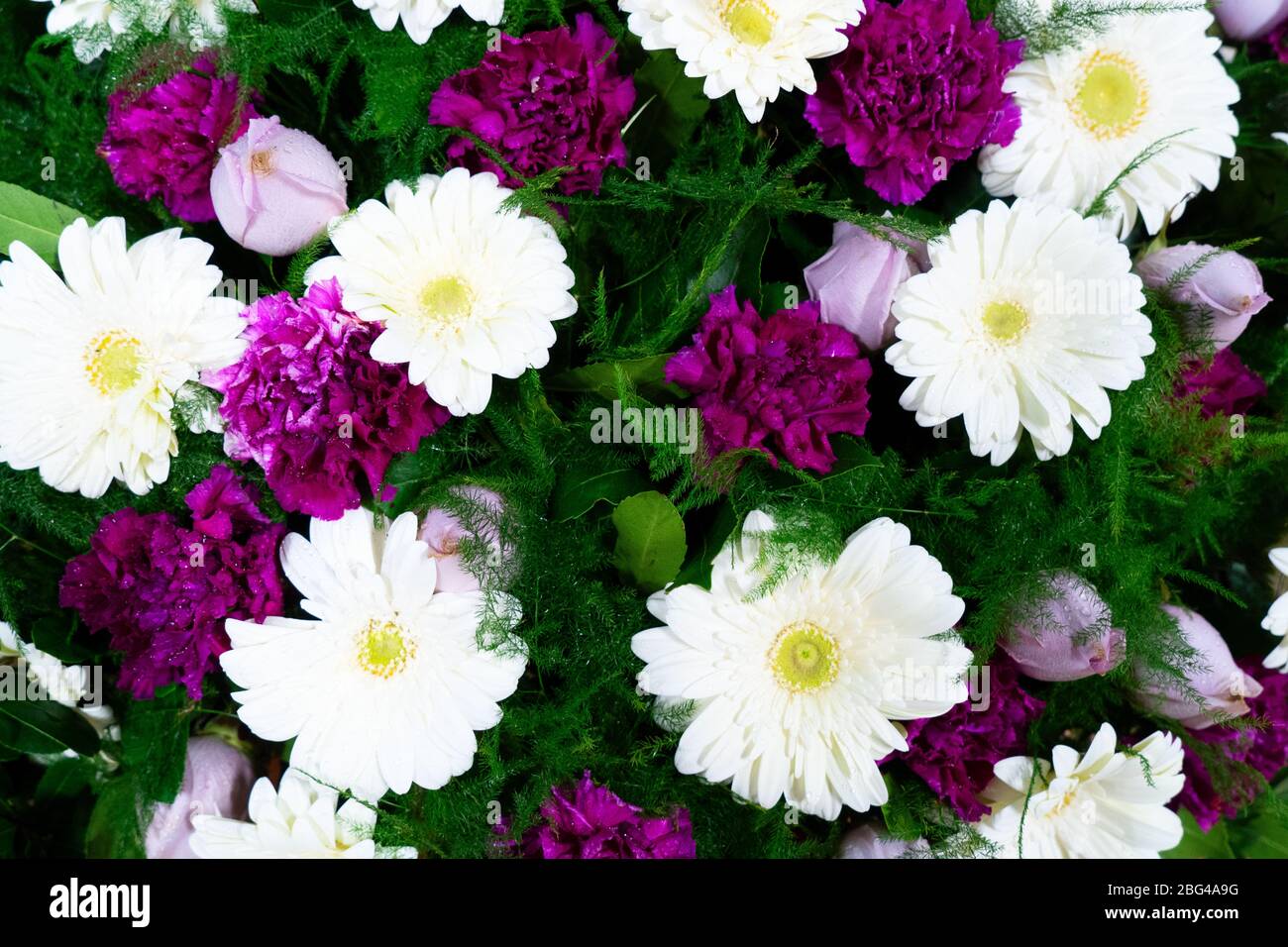 Flat multicolored flowers hi-res stock photography and images - Alamy