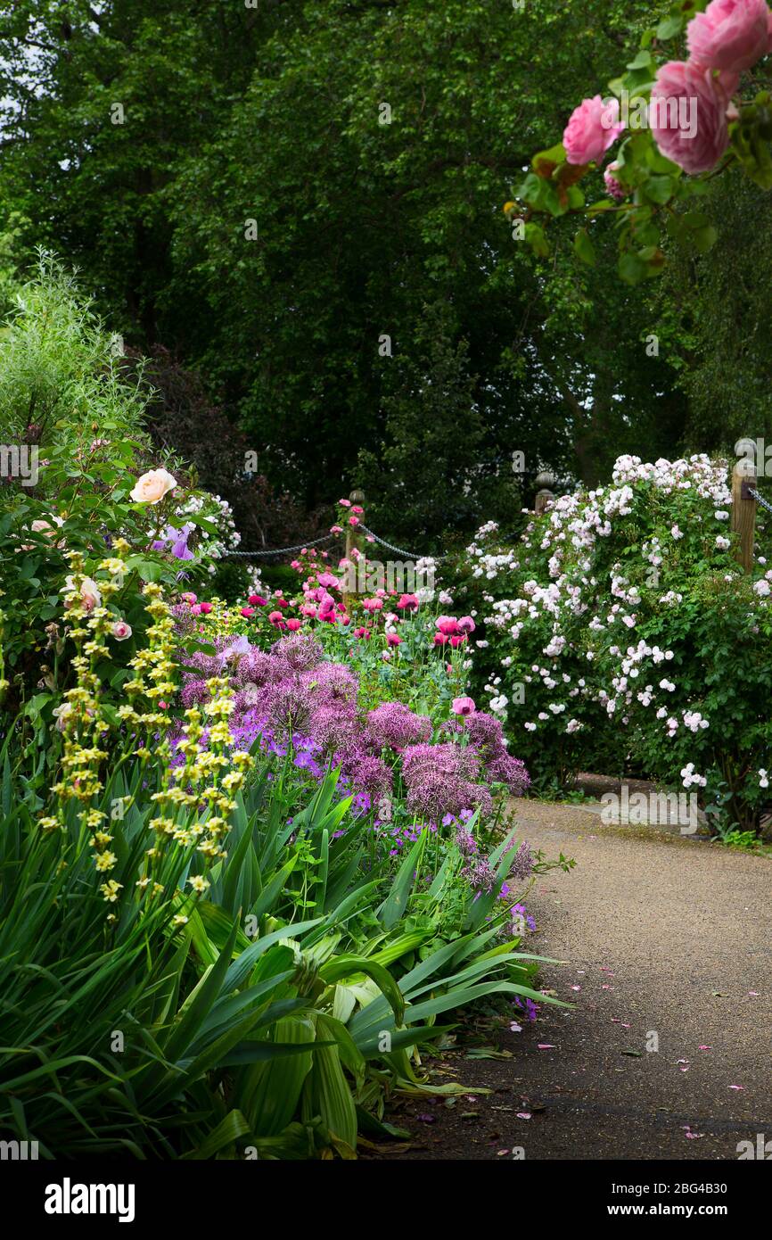 Spring in english garden hi-res stock photography and images - Alamy