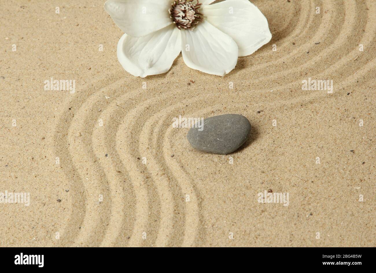 Zen garden with raked sand and round stone close up Stock Photo - Alamy