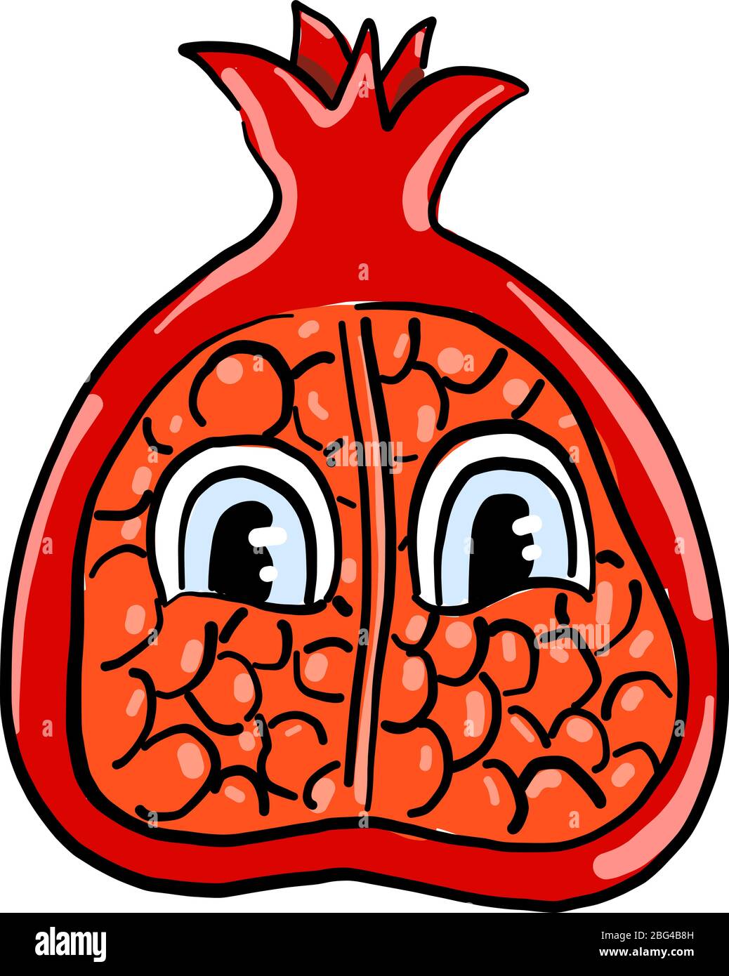 Garnet fruit on white Stock Vector Images - Alamy