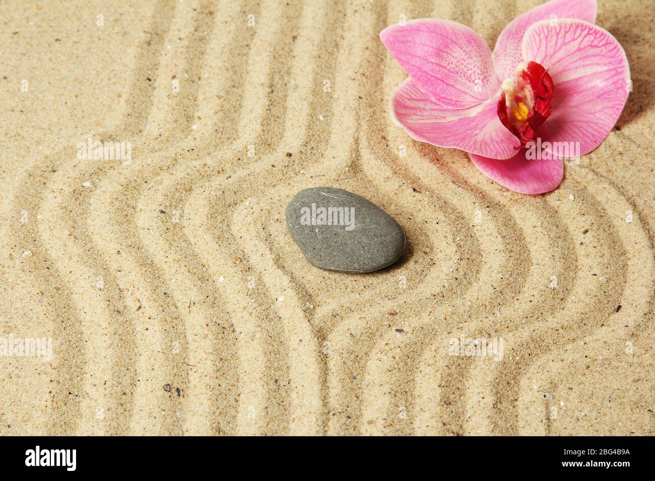 Zen garden with raked sand and round stone close up Stock Photo - Alamy