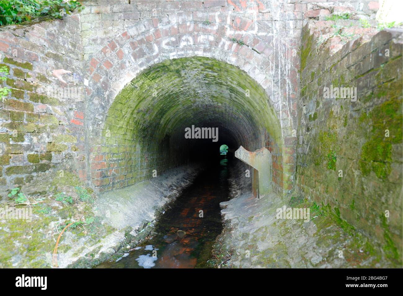 An underground culvert in Billy Wood, Kippax Stock Photo - Alamy