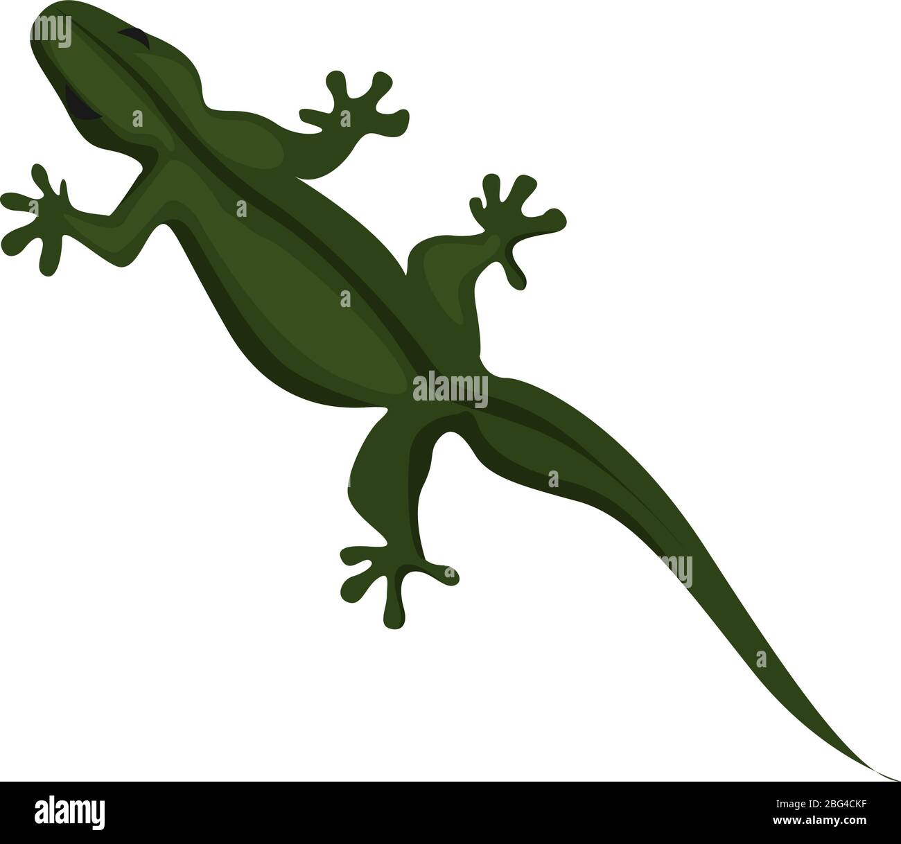 Green lizard, illustration, vector on white background Stock Vector ...