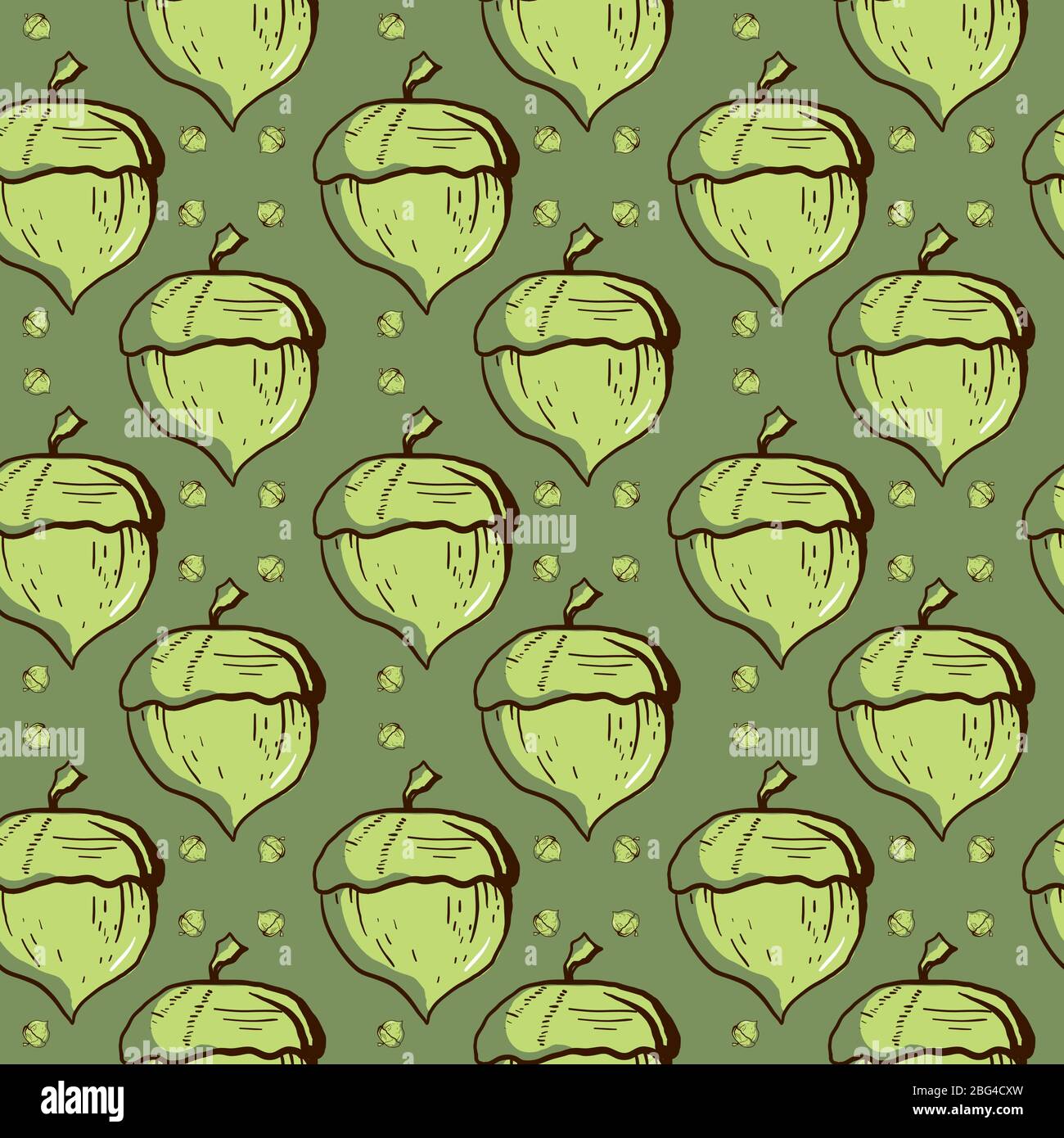 Acorn on branch illustration hi-res stock photography and images - Alamy