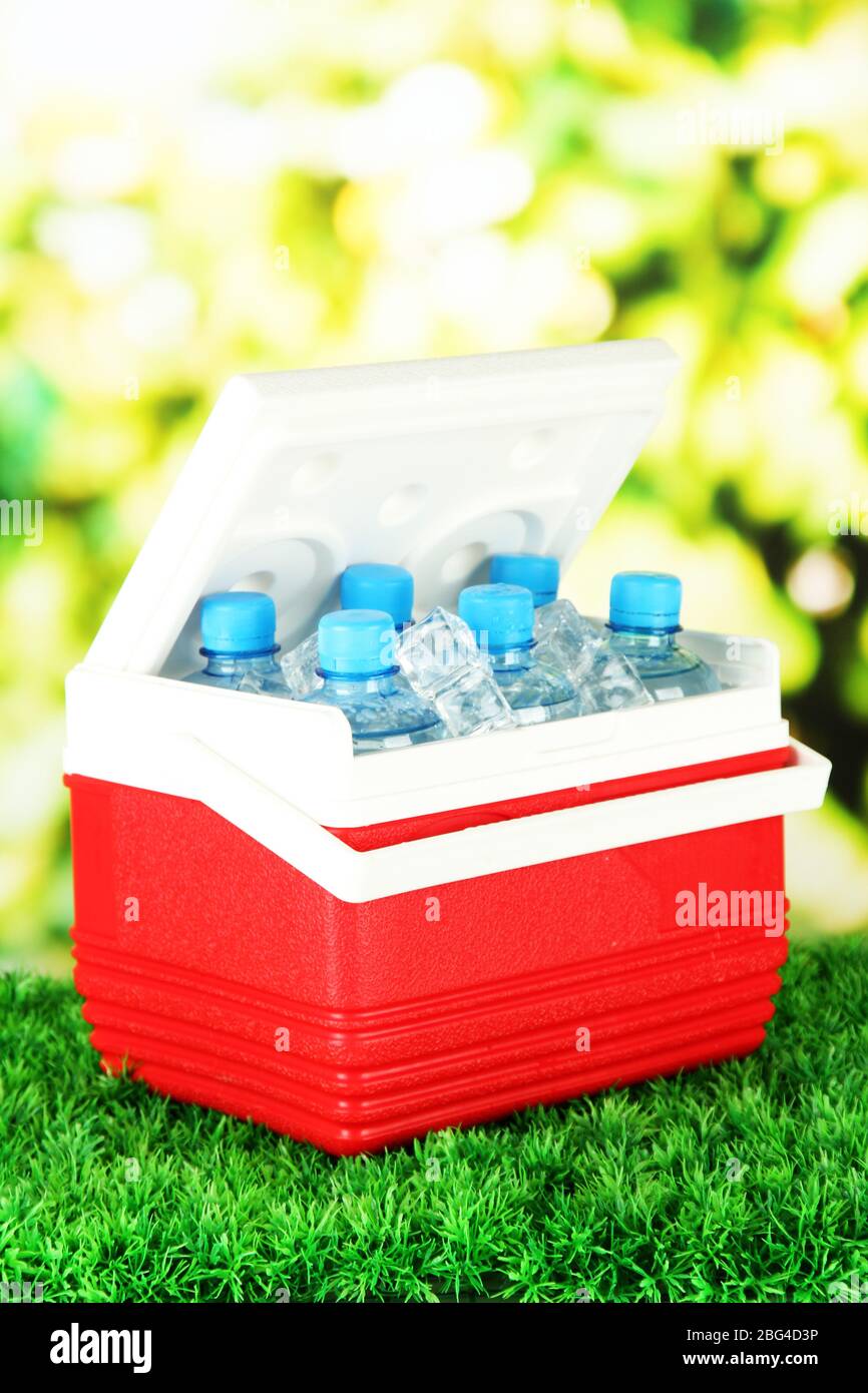 Picnic refrigerator with bottles of water and ice cubes on grass Stock ...