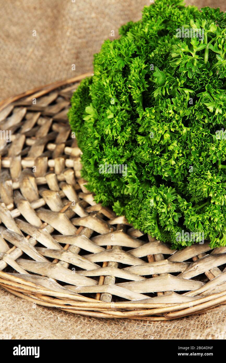 Useful herbs close up Stock Photo - Alamy