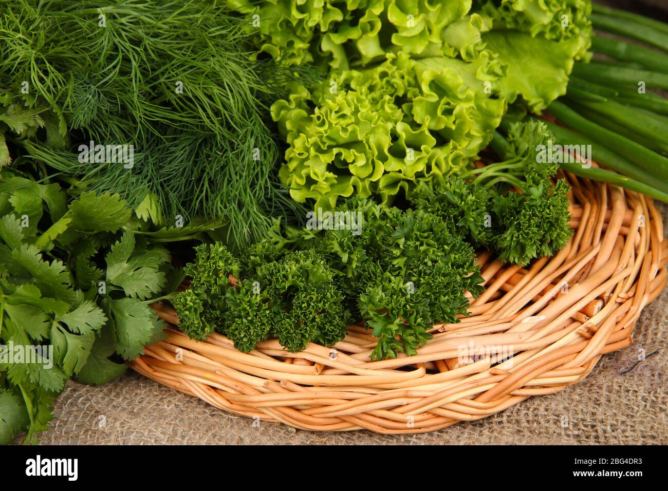 Useful herbs close up Stock Photo - Alamy