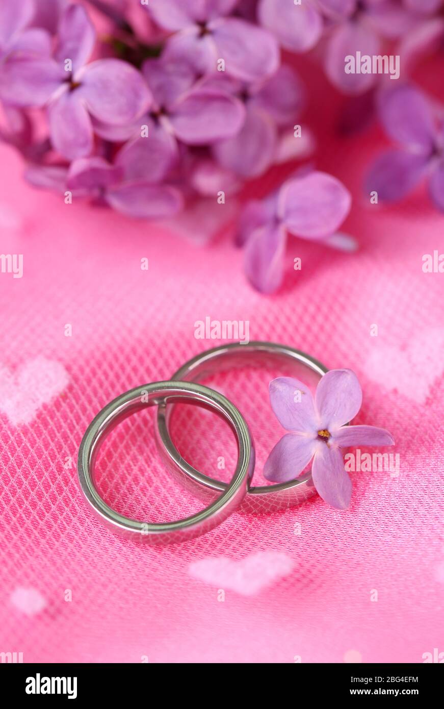 Silver wedding rings on lilac hi-res stock photography and images - Alamy