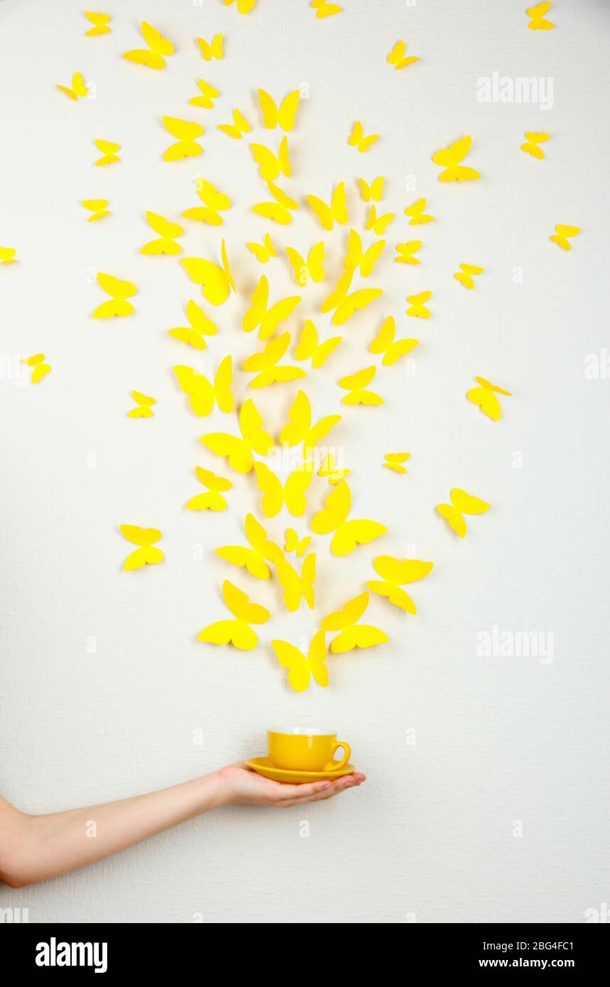 Home made fly paper hi-res stock photography and images - Alamy