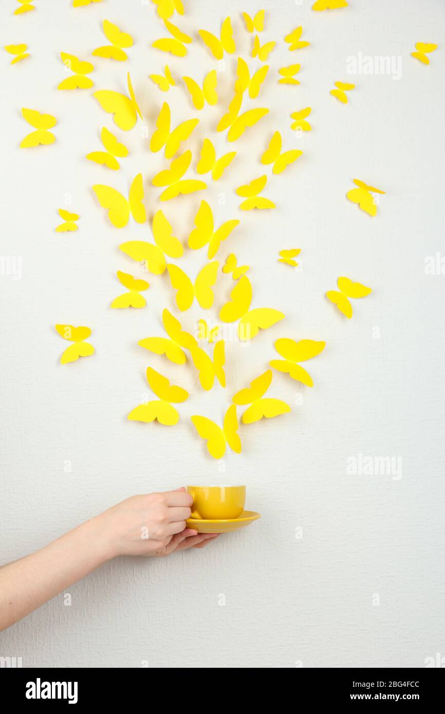 Home made fly paper hi-res stock photography and images - Alamy