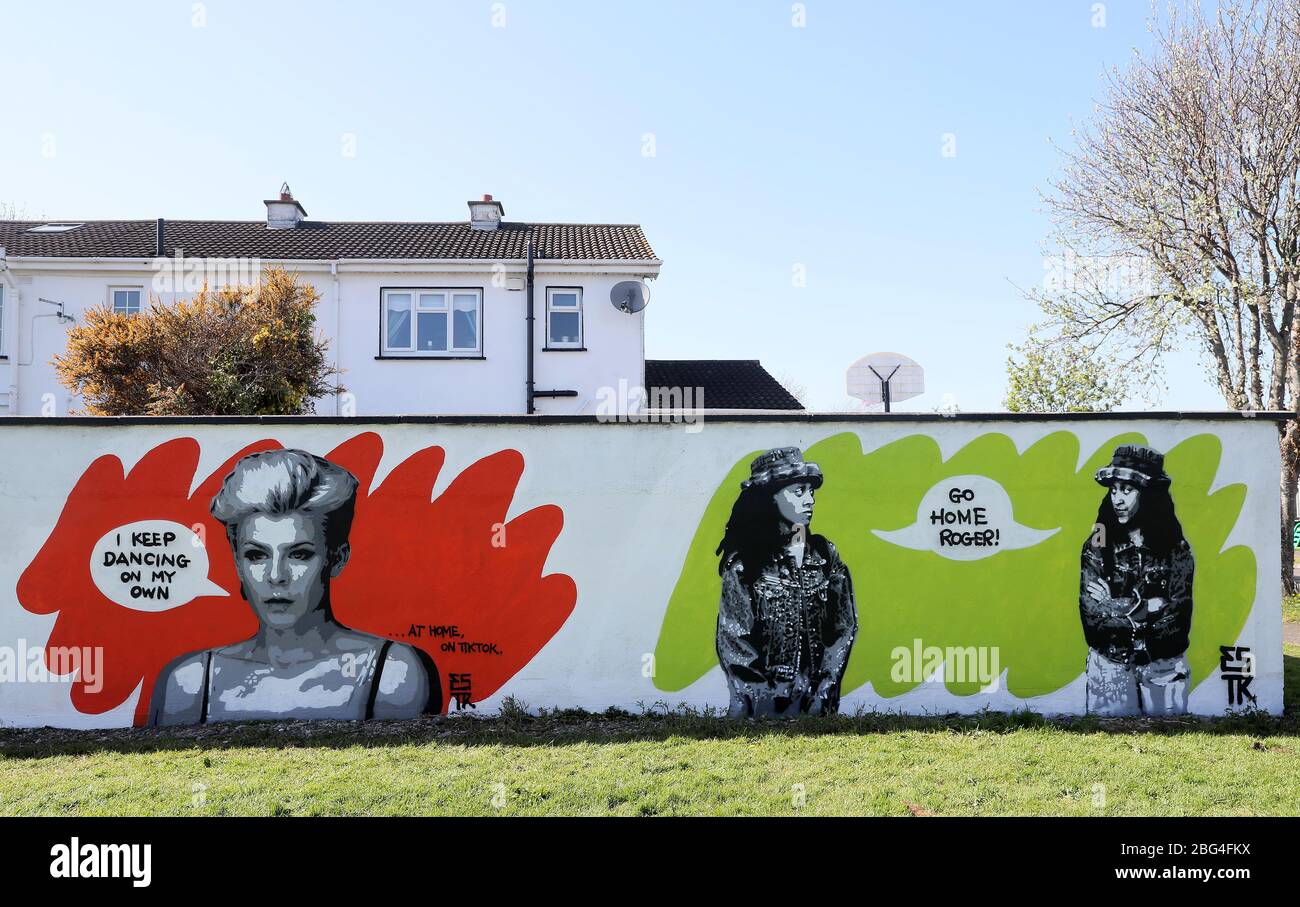 Some of the murals by Irish artist Emmalene Blake in South Dublin. The ...