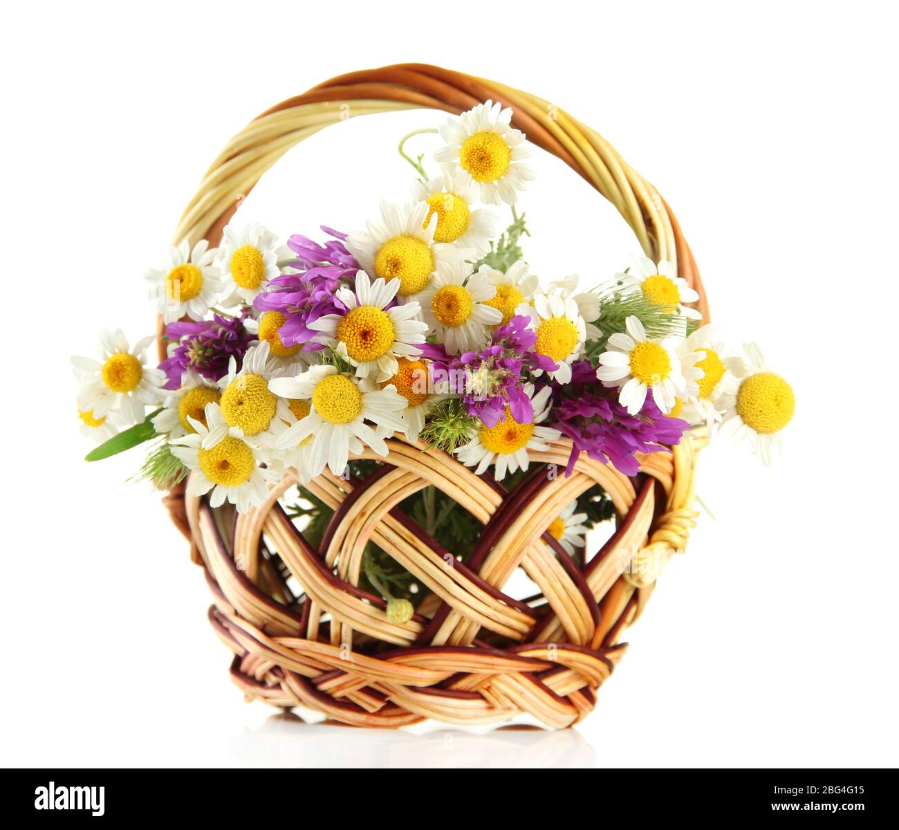 Beautiful wild flowers in basket, isolated on white Stock Photo - Alamy
