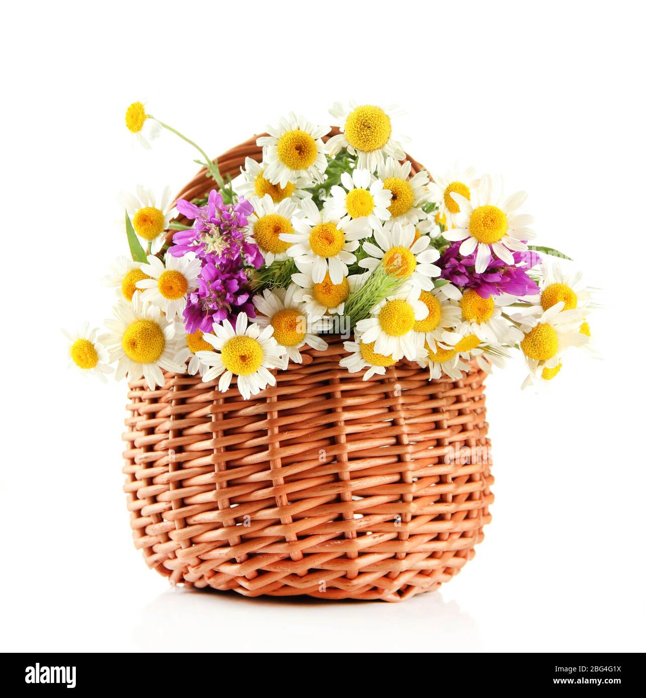 Beautiful wild flowers in basket, isolated on white Stock Photo - Alamy