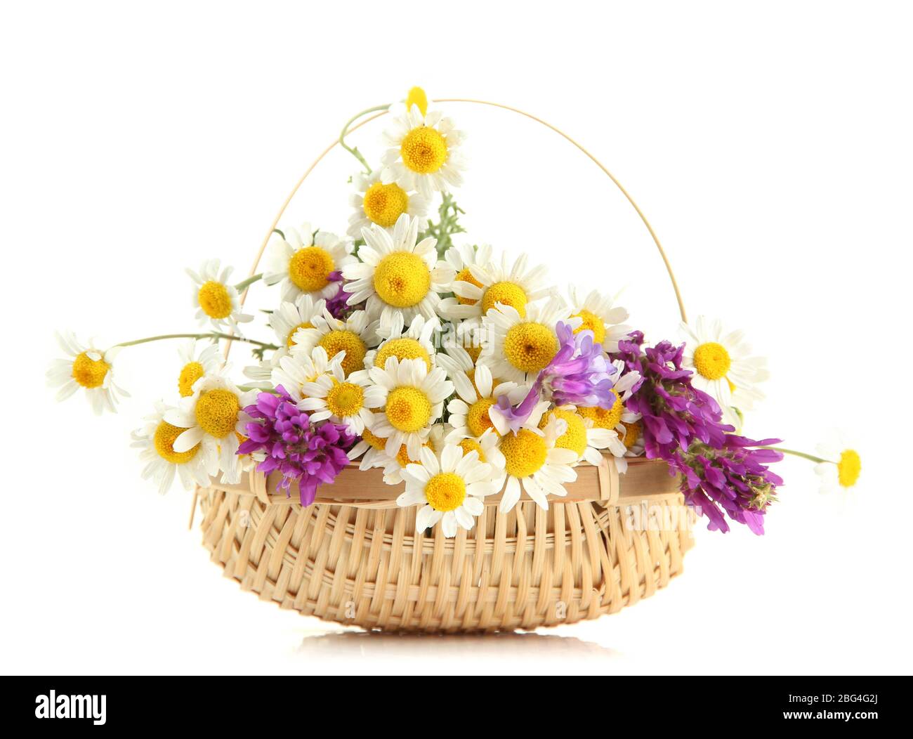 Beautiful wild flowers in basket, isolated on white Stock Photo - Alamy