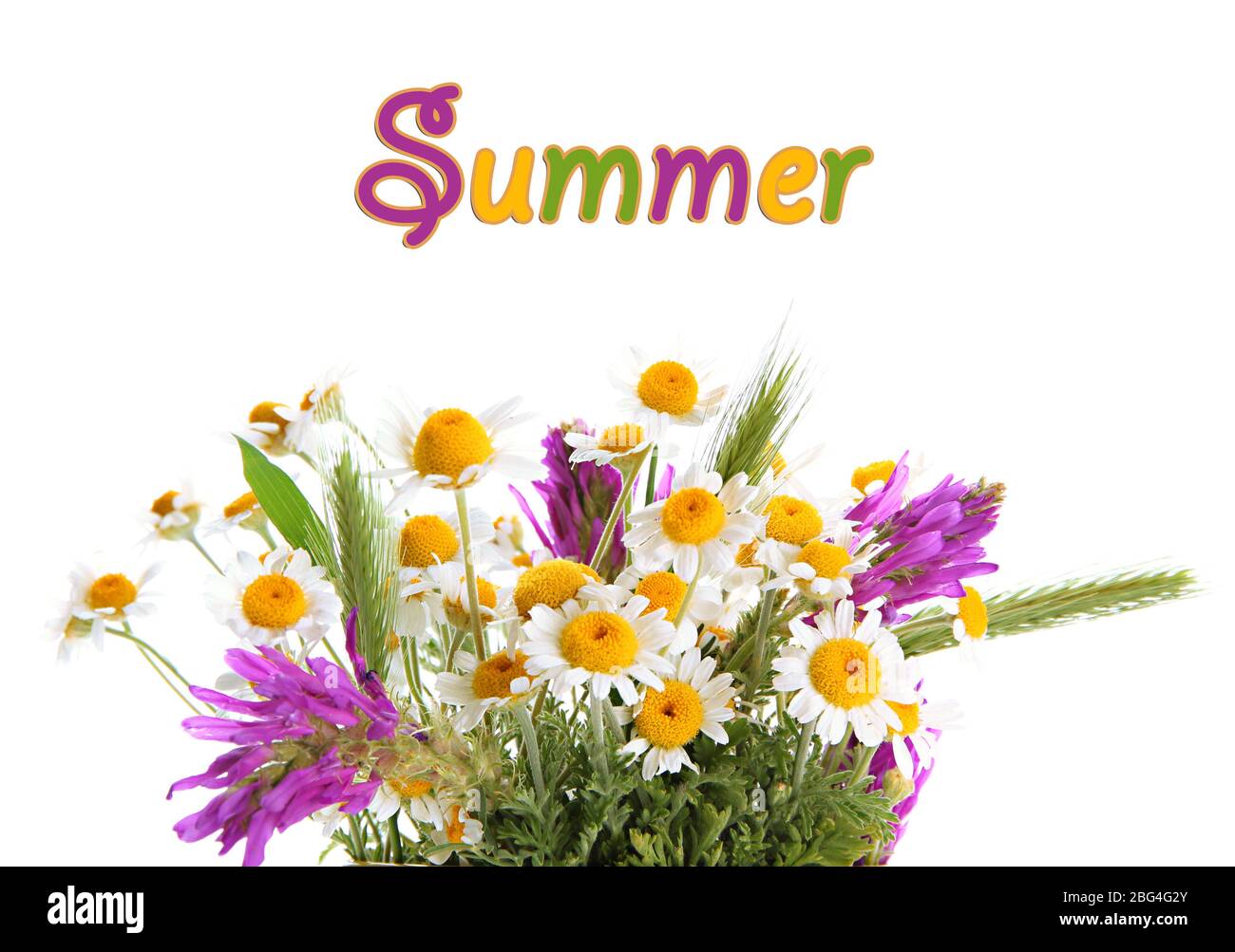 Beautiful wild flowers, isolated on white Stock Photo - Alamy