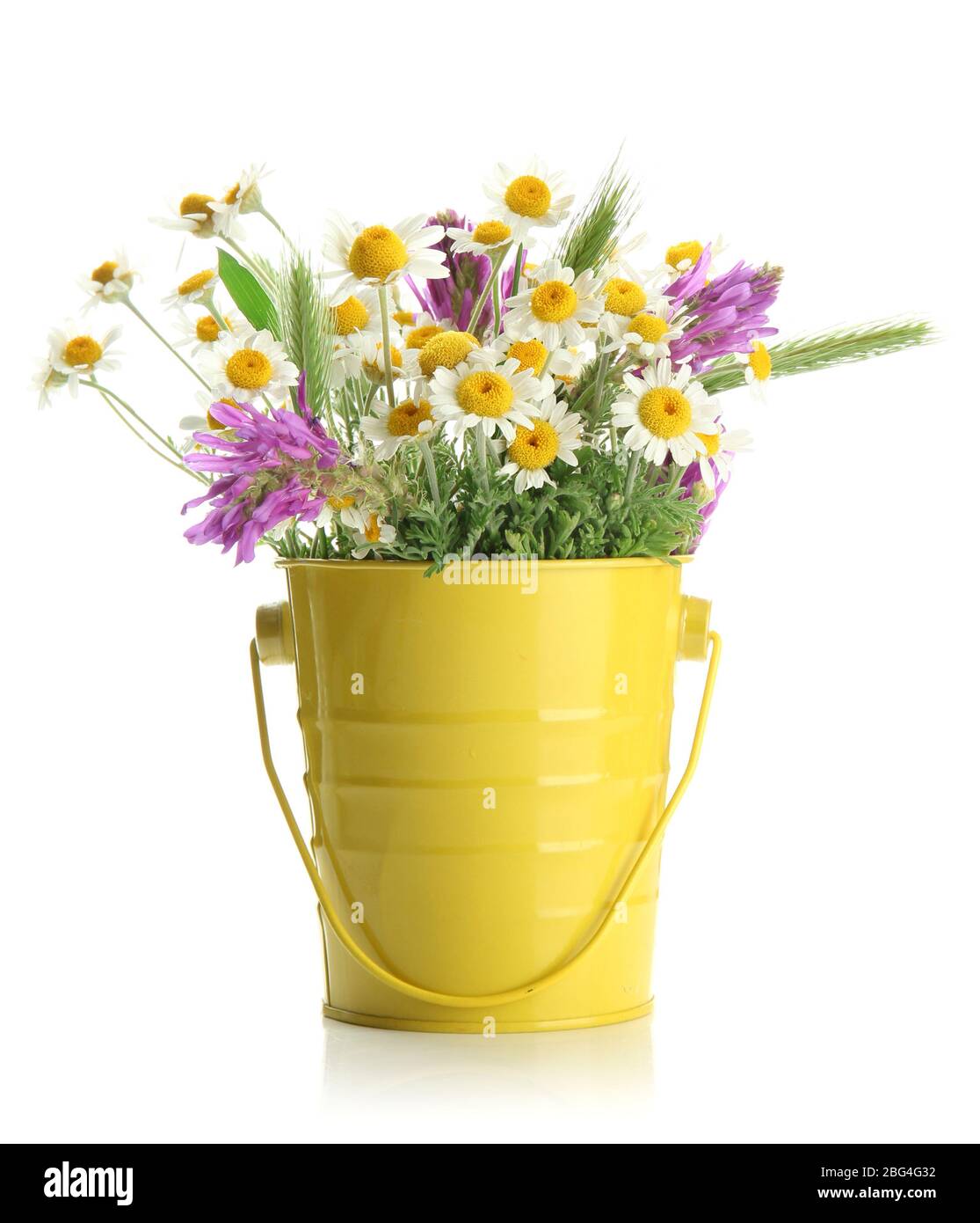 Beautiful wild flowers in pail, isolated on white Stock Photo - Alamy