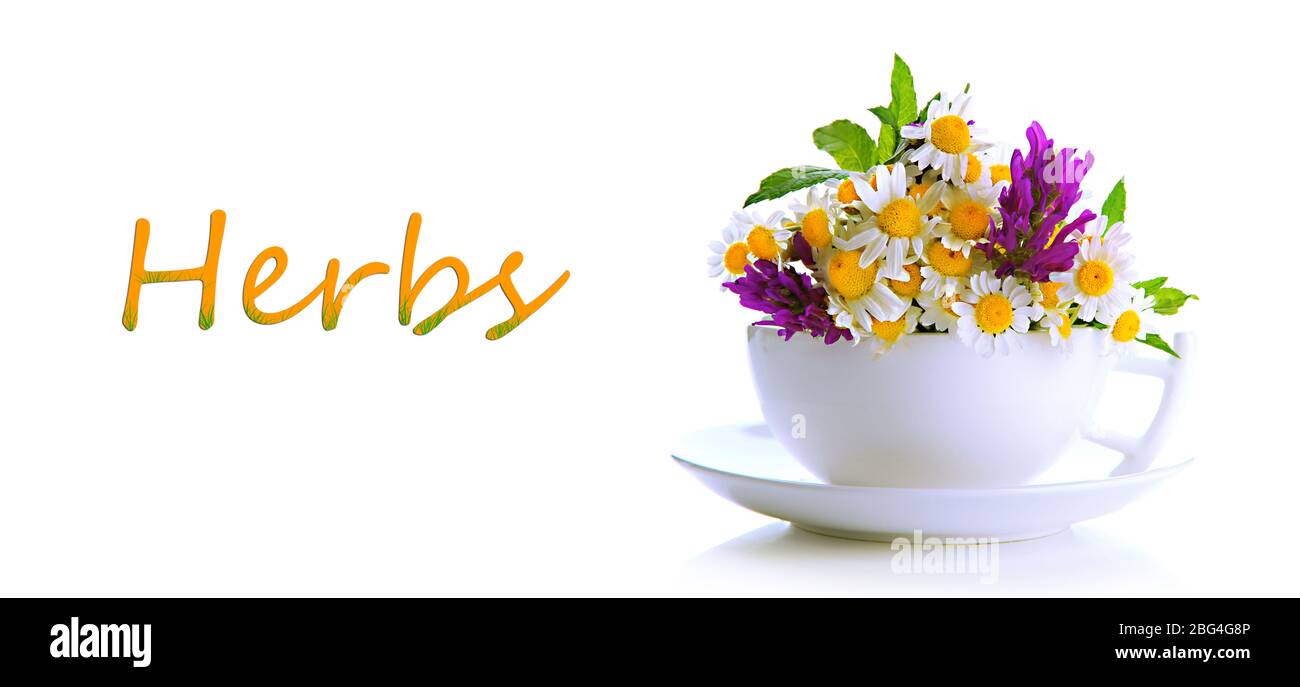 Wild spring herbs Cut Out Stock Images & Pictures - Alamy