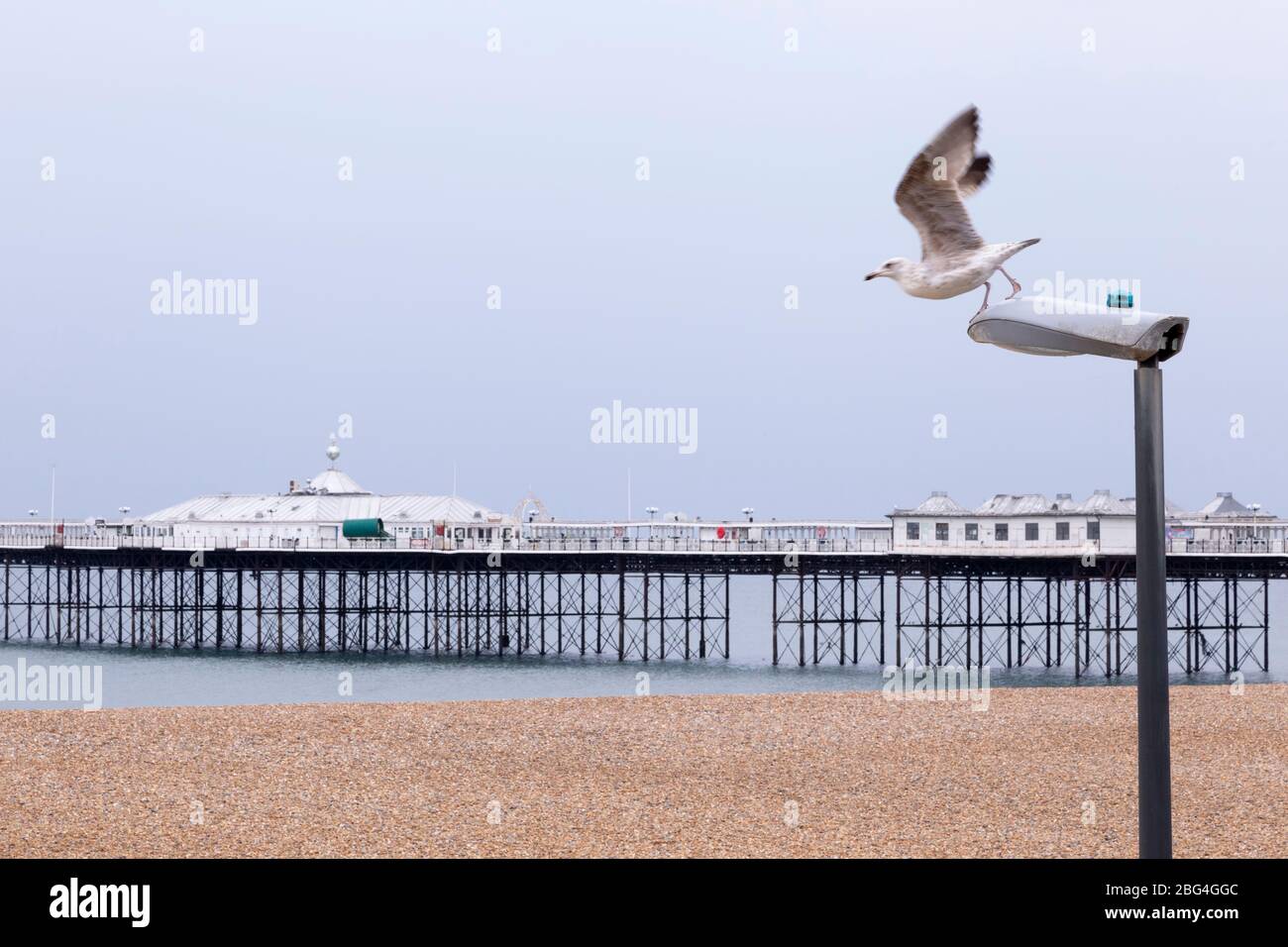 the lock down in Brighton Stock Photo - Alamy