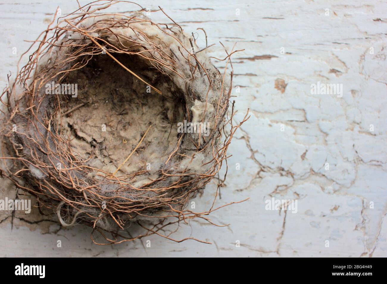 Empty Nest Syndrome High Resolution Stock Photography and Images - Alamy
