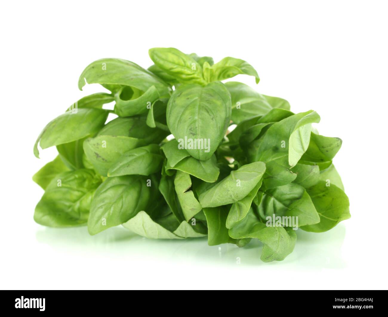 Green fresh basil isolated on white Stock Photo - Alamy