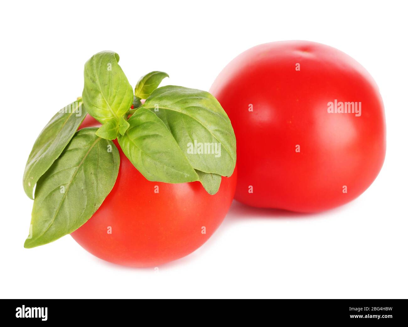 Tomato and basil isolated on white Stock Photo - Alamy