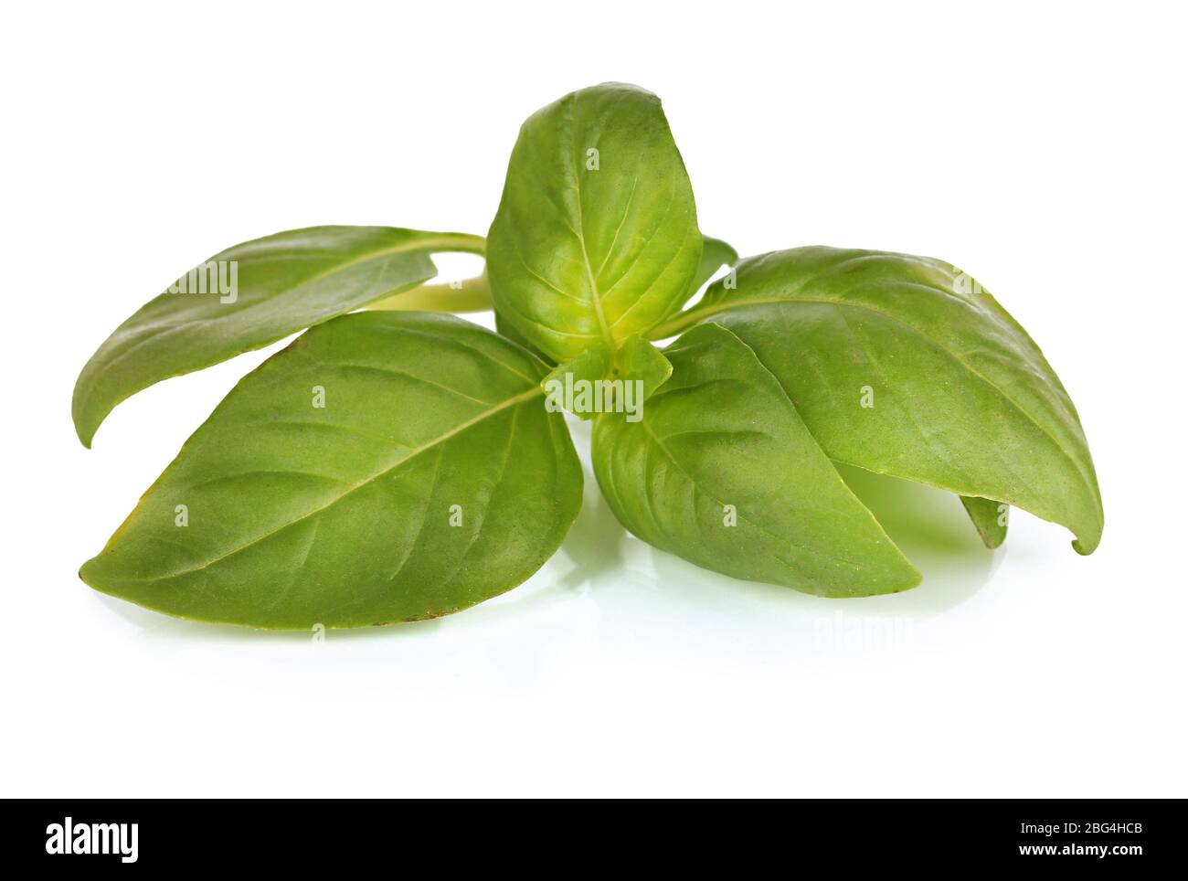 Green fresh basil isolated on white Stock Photo - Alamy