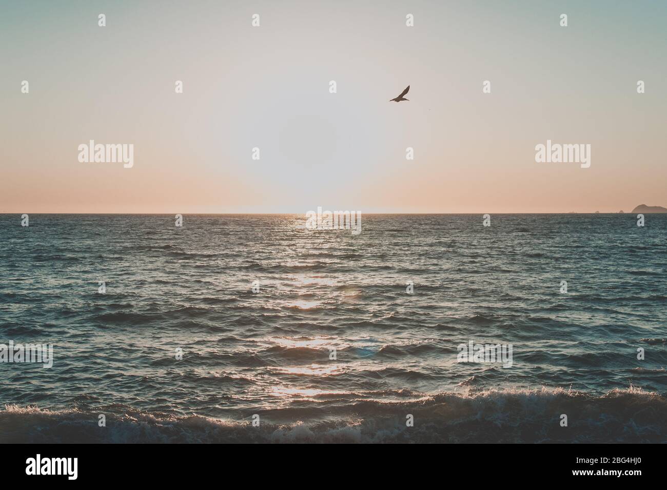 Flying ocean hi-res stock photography and images - Alamy