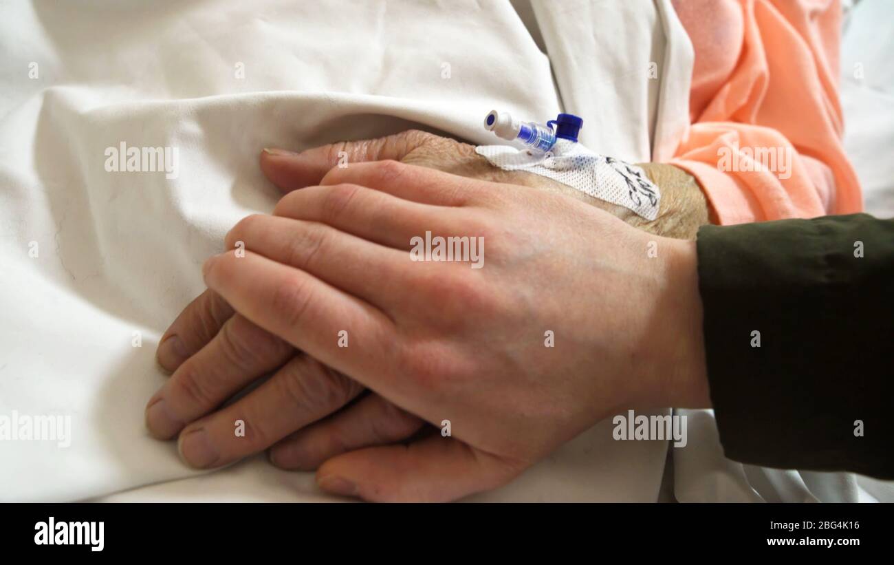 hand of young person confronting elderly sick person admitted in ...