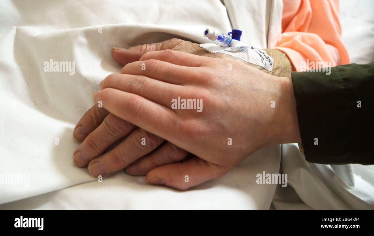 hand of young person confronting elderly sick person admitted in ...