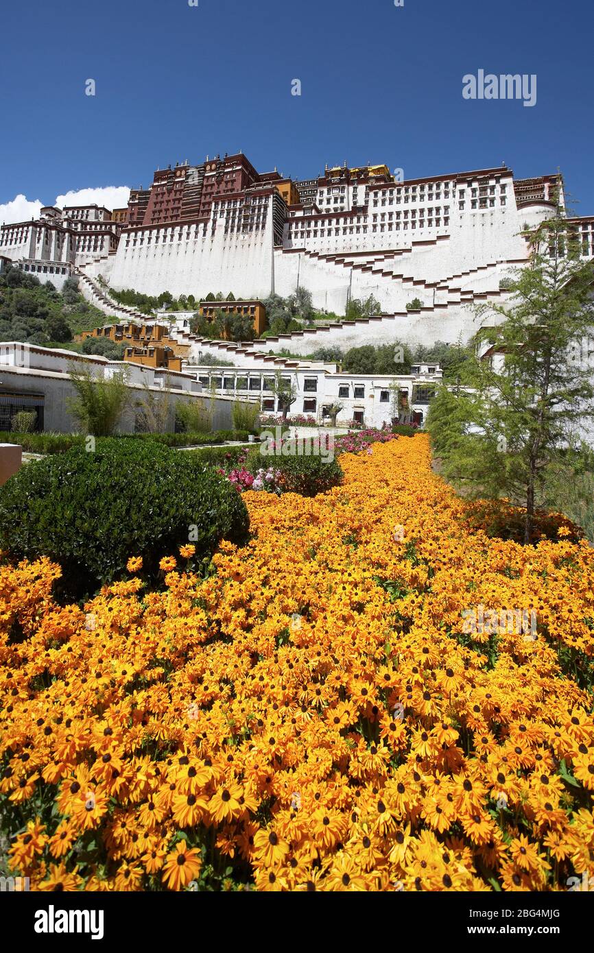 Tibet flowers hi-res stock photography and images - Alamy